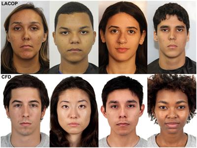 Frontiers | Facial morphometric differences across face databases: influence of ethnicities and sex